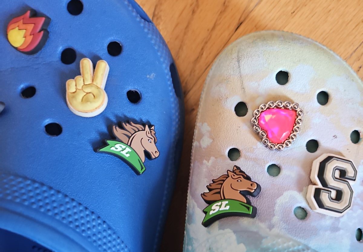 PTBoard - Spencer Loomis Elementary School PTO