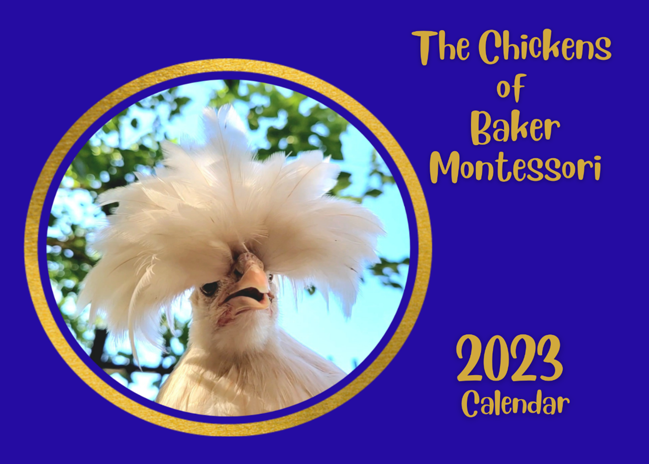 PTBoard - Ella J Baker Montessori PTO