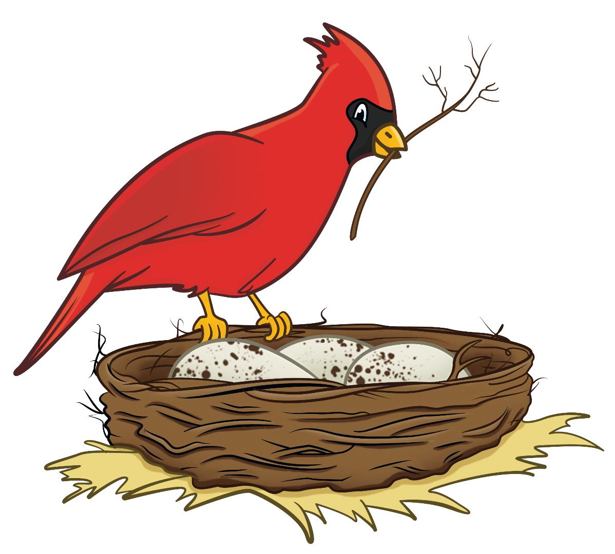 PTBoard - Cardinal Forest Elementary PTA